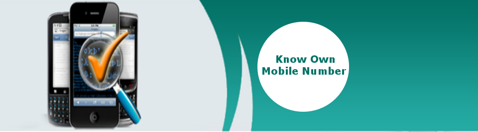 How to Check (Know) Own Mobile Number | MissDial